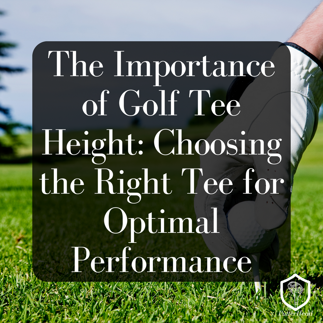 Improve Your Golf Game: The Importance of Golf Tee Height, Materials ...